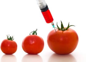 Genetically Modified Foods – Are They Safe? - HowToRemedies.com